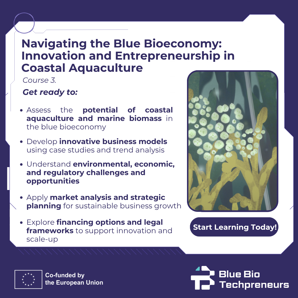 Blue Bio Techpreneurs | Blue Careers project | Blue Biotechnology